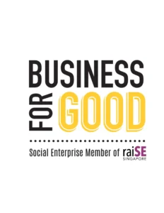 Subsidised Support for Seniors and Caregivers Through Assistive ...